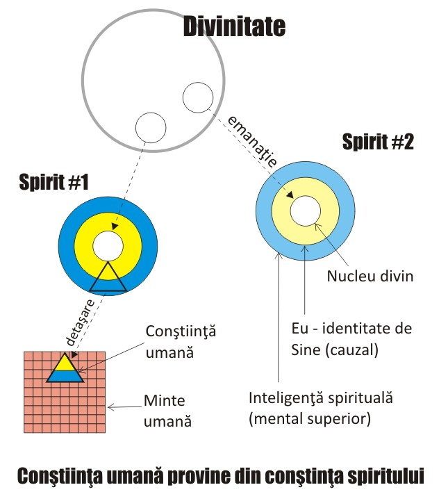 INFOGRAFICE: CONSTIINTA
